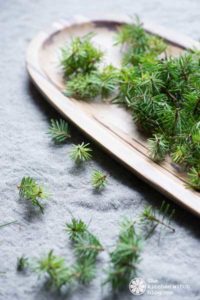 Pine Needle Syrup | The Kitchen Witch