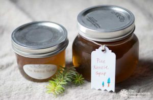 Pine Needle Syrup | The Kitchen Witch